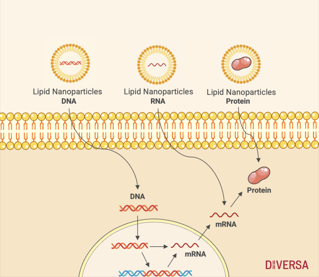 Embracing Virus-Free Alternatives for Gene Therapy - DIVERSA